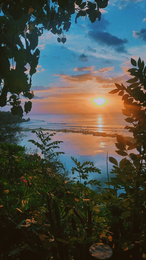 Reflection Sunset Around Trees Stock Image - Image of flower, autumn ...