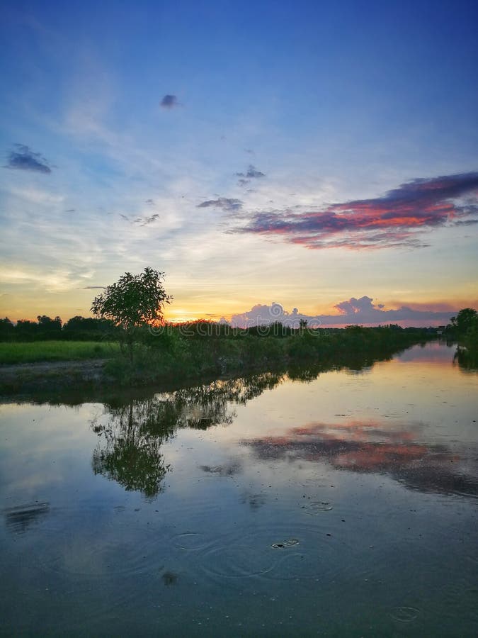 Sunset and Single Tree at Kelantan, Malaysia. Stock Photo - Image of ...