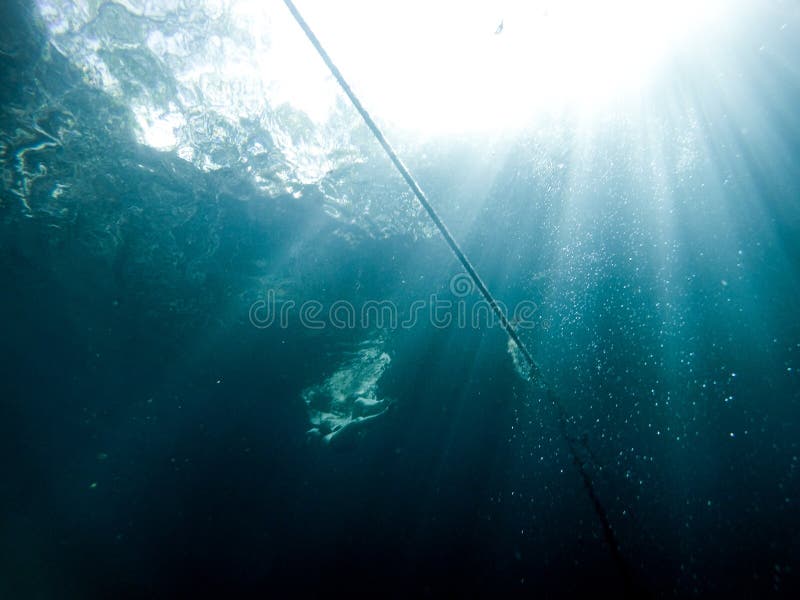 A Reflection of an Swimmer from Underwater Stock Photo - Image of ...
