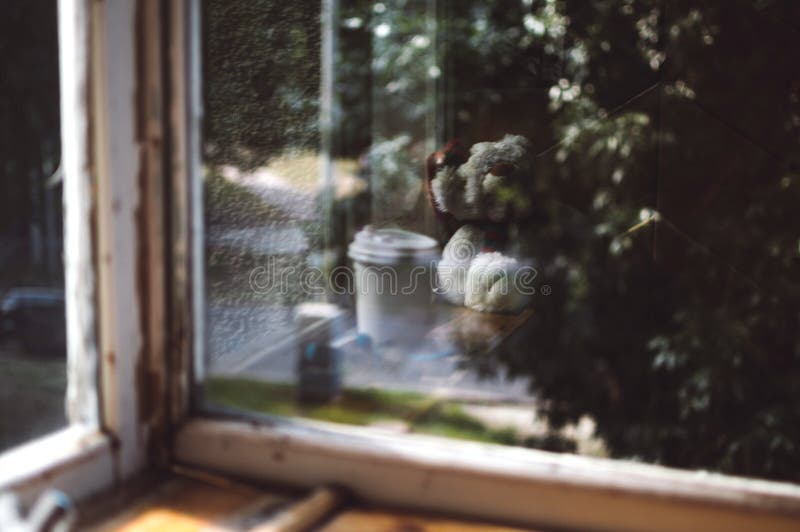 Reflection of Toy Bear and Coffee Cup among Greenery in Old Glass Stock ...