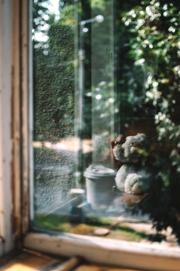 Reflection of Toy Bear and Coffee Cup among Greenery in Old Glass Stock ...