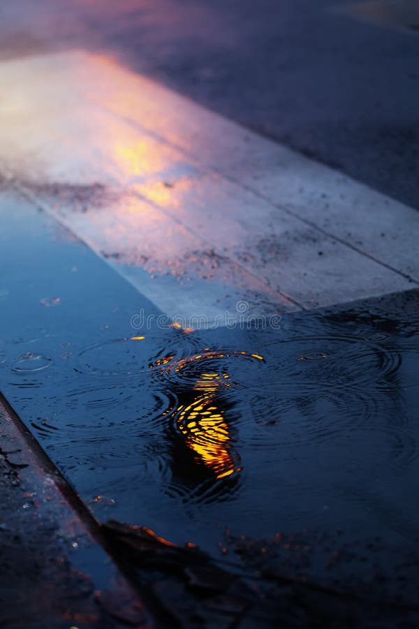 582 Neon Puddle Stock Photos - Free & Royalty-Free Stock Photos from ...