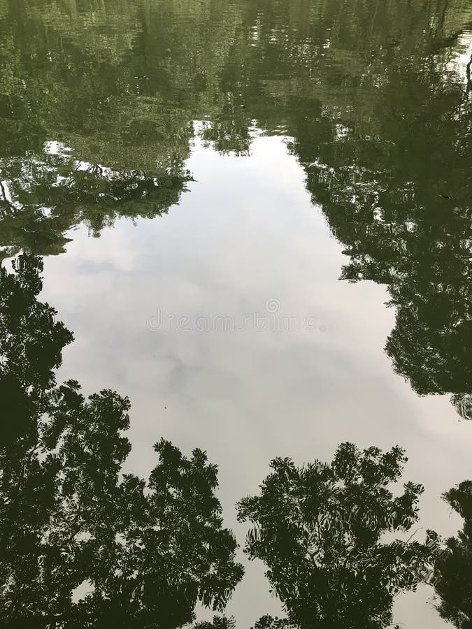 Reflection stock image. Image of view, reflection, landscape - 212285373