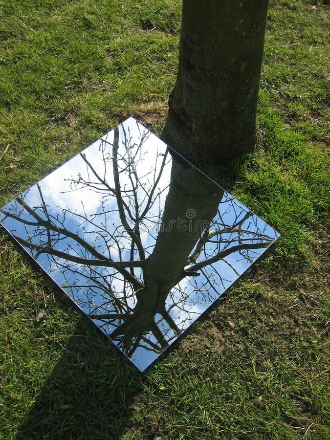 Reflection tree stock image. Image of tree, nature, light - 919981