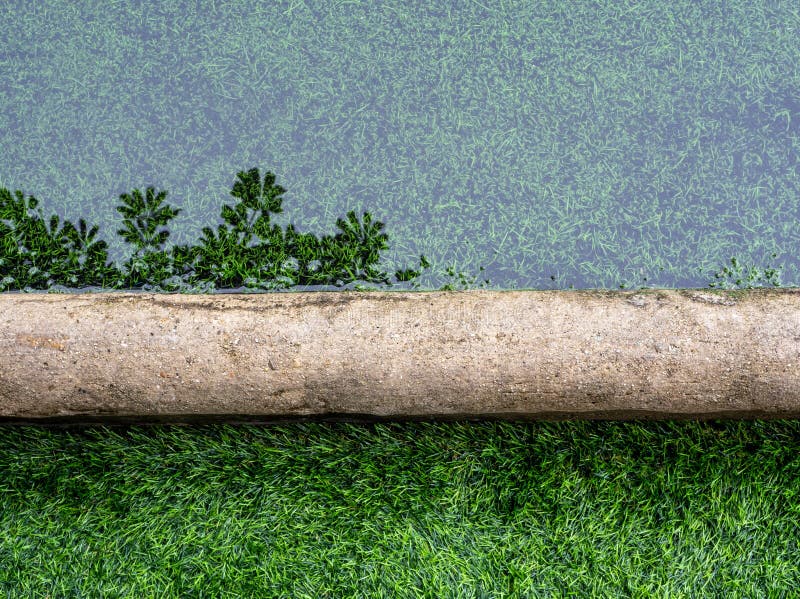 The Reflection of Tree in the Flooding Water Surface on the Football ...