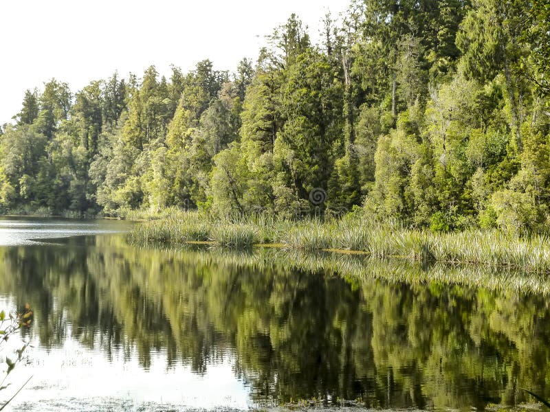 Reflection of tree stock image. Image of reflection - 189780407