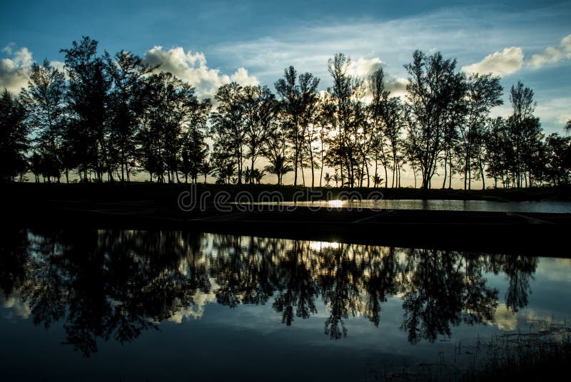 Reflection of the Tree in Lake Stock Photo - Image of beauty, cloud ...