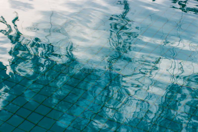 Reflection of tree shadow stock photo. Image of light - 147623754