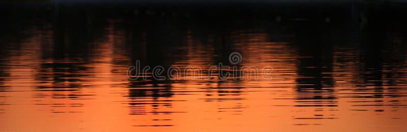 Reflection of tree shadows stock image. Image of dusk - 319882623