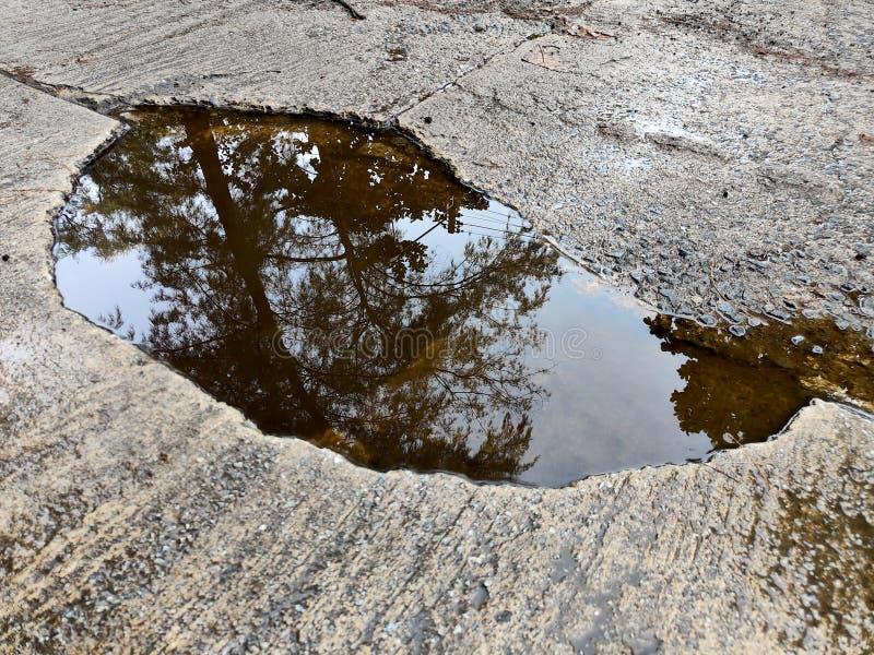 Reflection of a Tree and Sky in a Deep Autumn Puddle Stock Photo ...