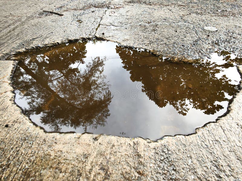 Reflection of a Tree and Sky in a Deep Autumn Puddle Stock Image ...