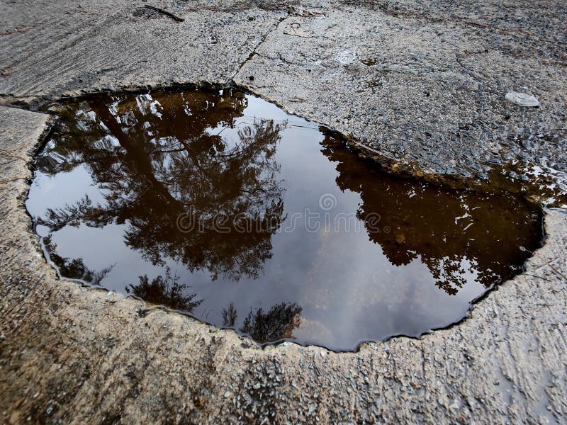 Reflection of a Tree and Sky in a Deep Autumn Puddle Stock Photo ...