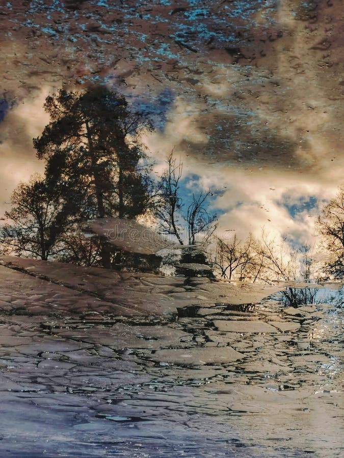 Reflection of a Tree in the Water Stock Photo - Image of morning ...