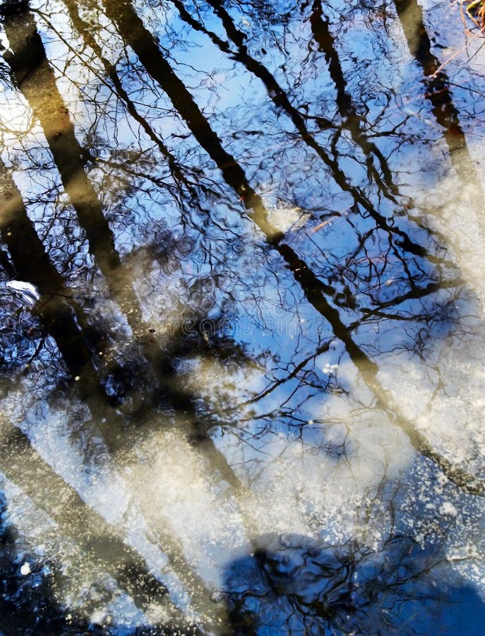 Winter Lake with Reflections Stock Photo - Image of serene, seasons ...