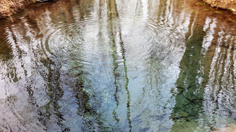 Ripples Calm Surface Create Circular Patterns Water Stock Photos - Free ...