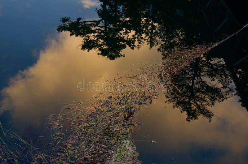 Reflection of Trees and Clouds in the Perfect Calm of Inlet with ...