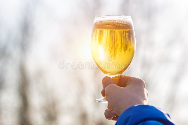 Reflection of Trees in the Glass. Stock Image - Image of forest, glass ...