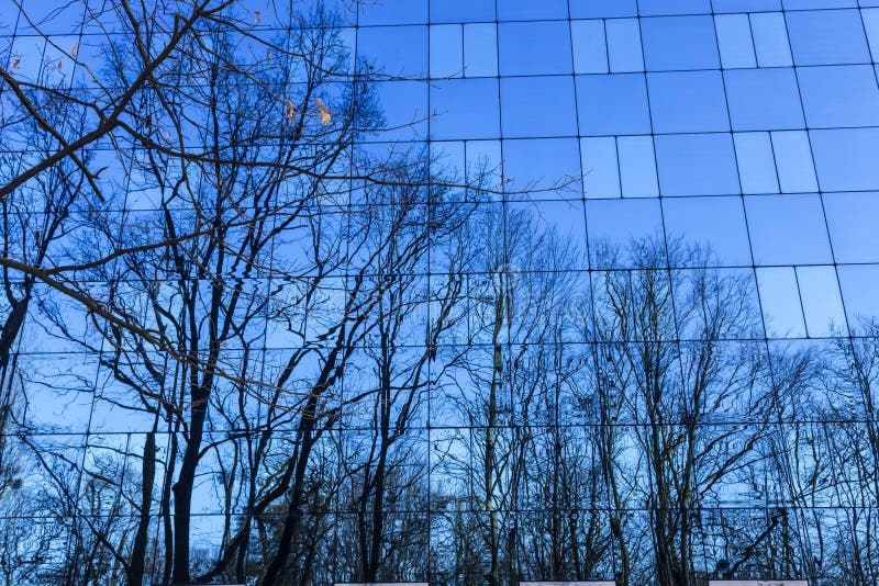 Reflection of Trees in a Glass Wall. Stock Photo - Image of modern ...