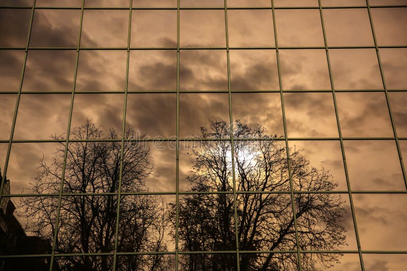 Reflection of Trees in the Glass Window. Modern View Stock Photo ...