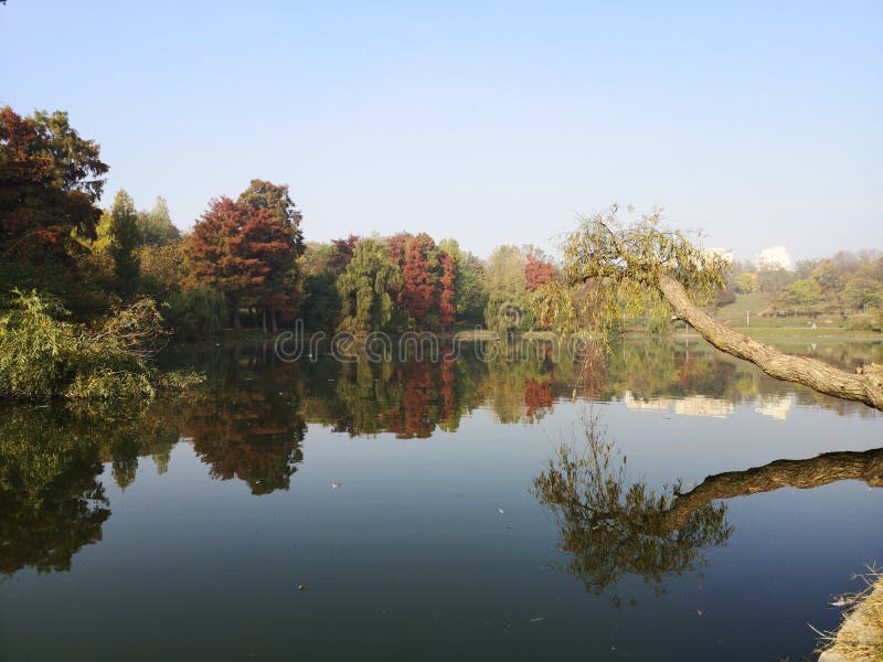 Reflection of Trees in the Lake during Fall Season Stock Photo - Image ...