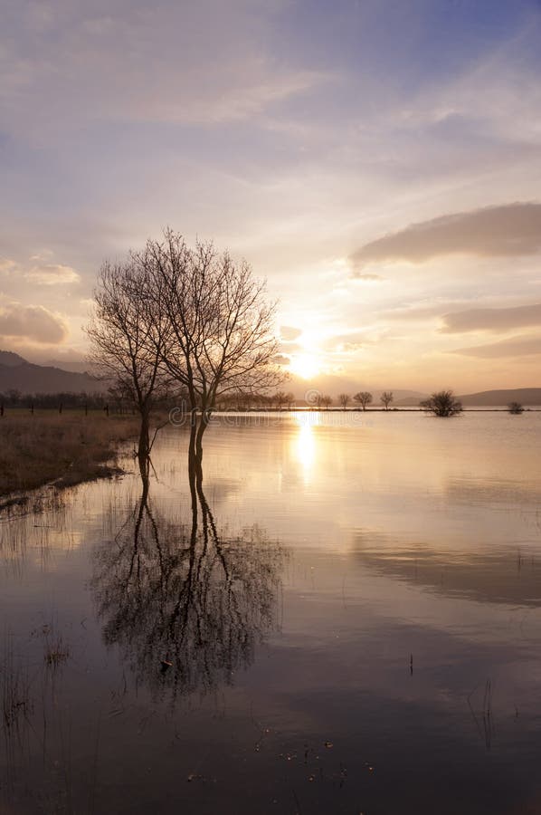 Reflection of Trees on the Lake at Sunset - Vertical Stock Photo ...
