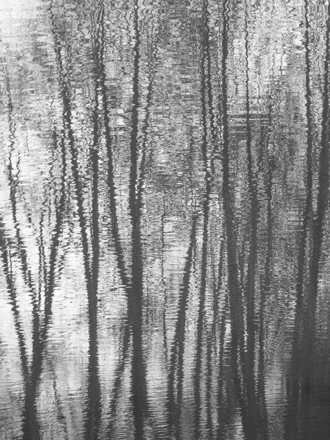 Reflection of Trees and Mountains in Sayward, BC Stock Image - Image of ...