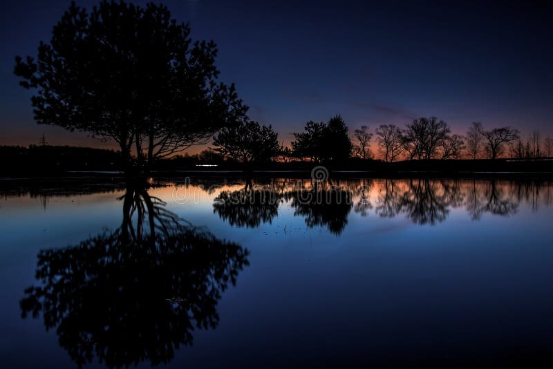 Reflection Trees in a Pond at Night Stock Image - Image of sunset ...