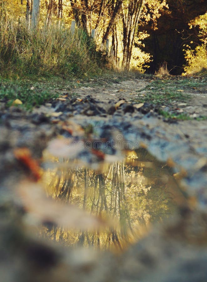 Reflection in a Puddle in Front of a Building Editorial Stock Image ...