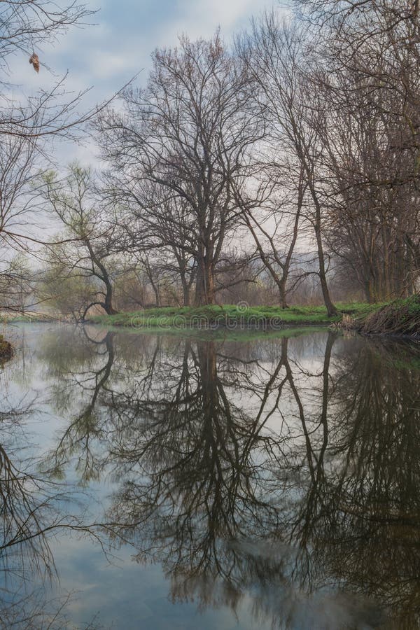 Reflection of trees stock image. Image of beautiful, scenery - 37905191