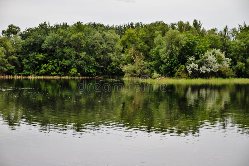 Reflection of Trees in the River Stock Photo - Image of mist, beauty ...