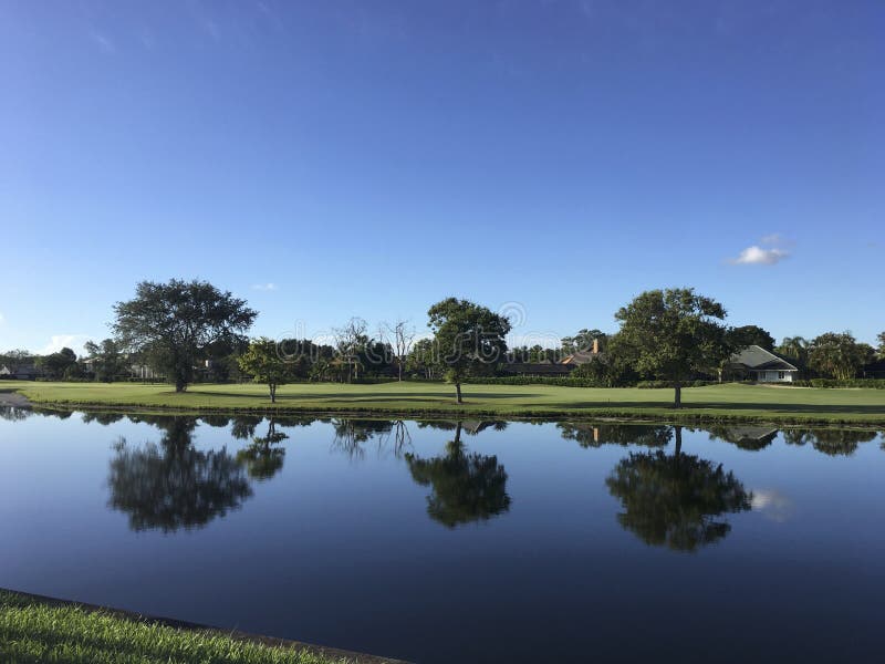 Trees on a golf course stock image. Image of home, golf - 113477449