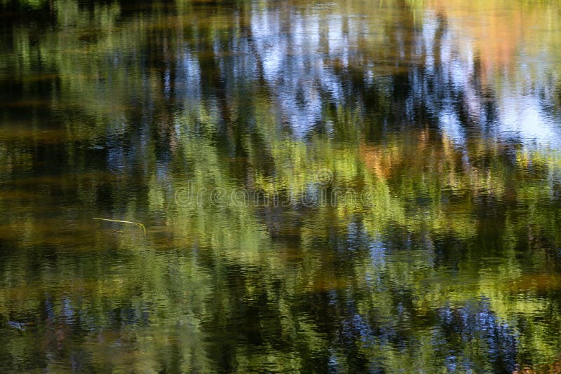 Reflection of Trees on Sandy Stream in Unity Maine Stock Photo - Image ...