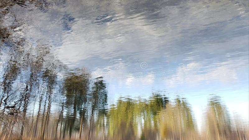 Reflection of Trees, Sky and Clouds in Water Stock Photo - Image of ...