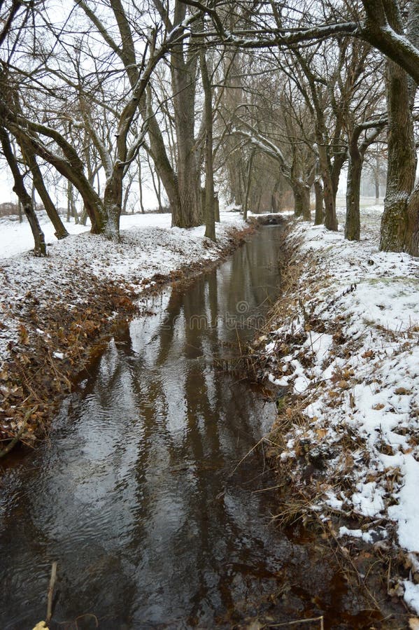 Reflection stock photo. Image of trees, tree, water, channel - 84770268