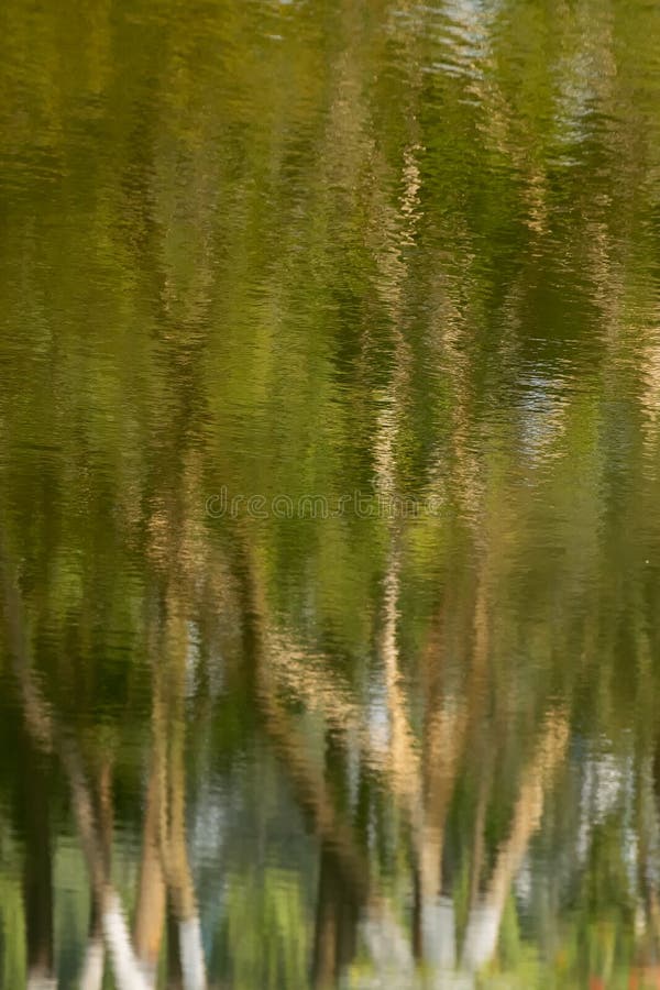 Reflection of Trees on Water, Green Environmental Background, Vertical ...