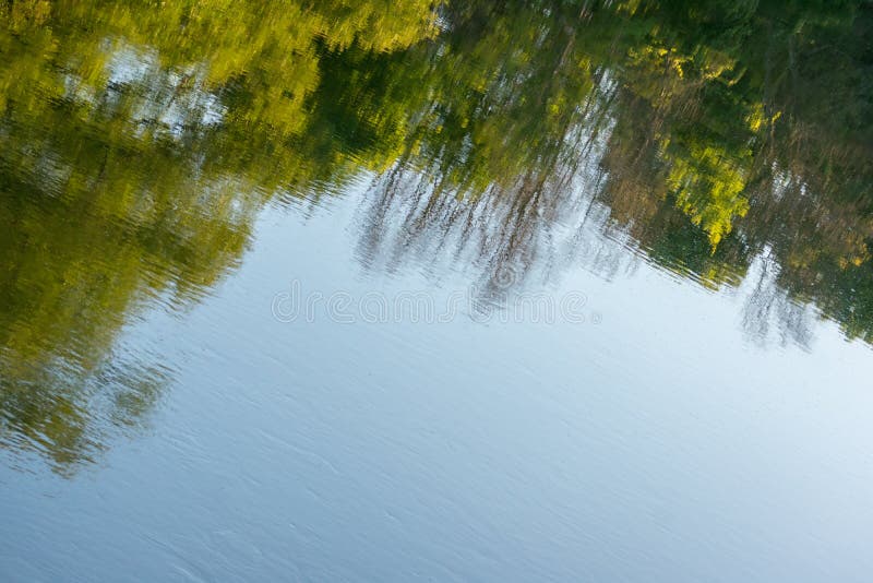The Reflection of Trees in the Water Stock Image - Image of peaceful ...