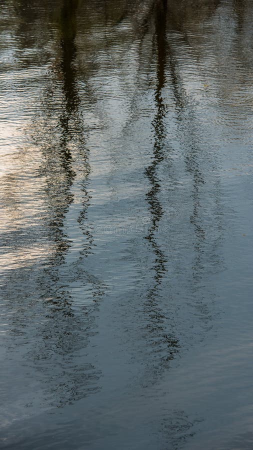 Reflection of Trees in Water River Stock Photo - Image of wave, forest ...