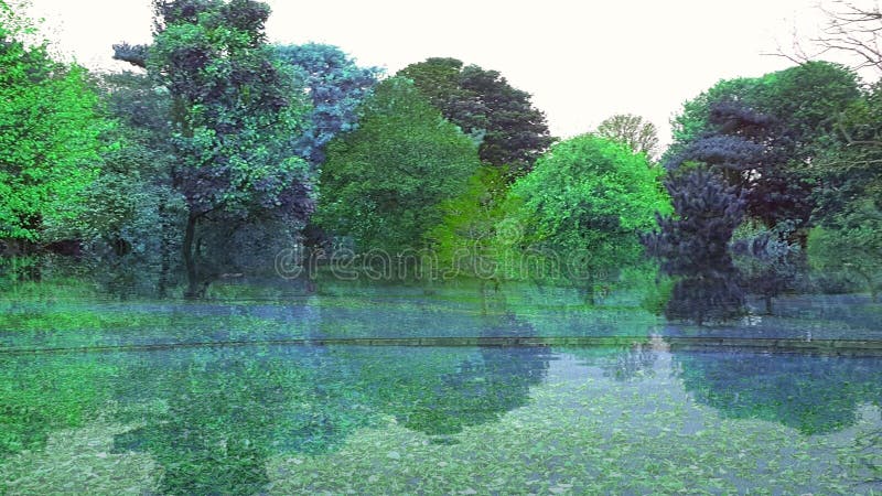 Reflection: Trees Were Green, Mirroring Scene Stock Image - Image of ...