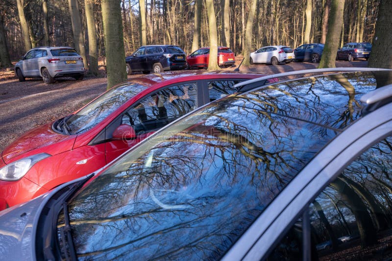 Reflection of Trees in Windshield of Blue Car in Dutch Forest Near ...