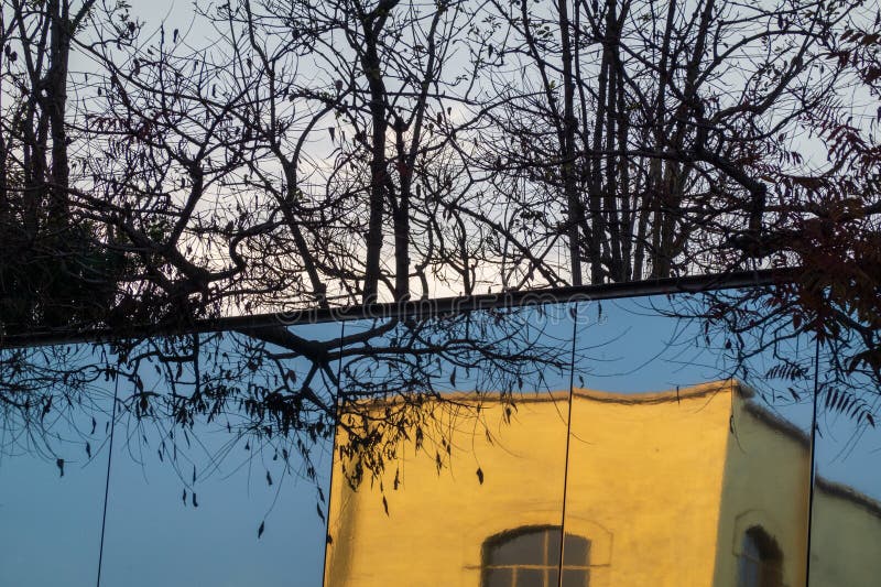Reflection of Trees and Yellow Building on Mirrored Surface Stock Image ...