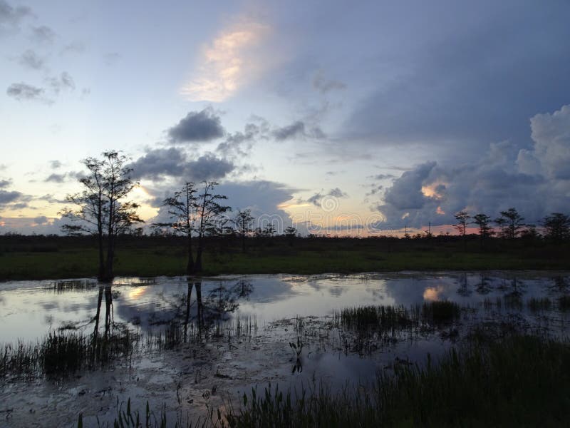 Reflection of Vibrant Sunset in a Swamp Stock Photo - Image of paradise ...