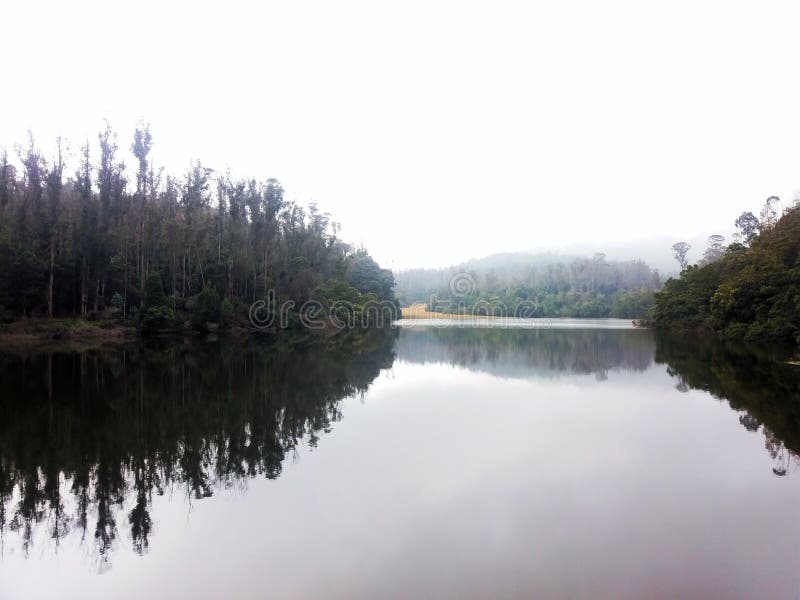 Reflection vs reality stock image. Image of beauty, lake - 142628513