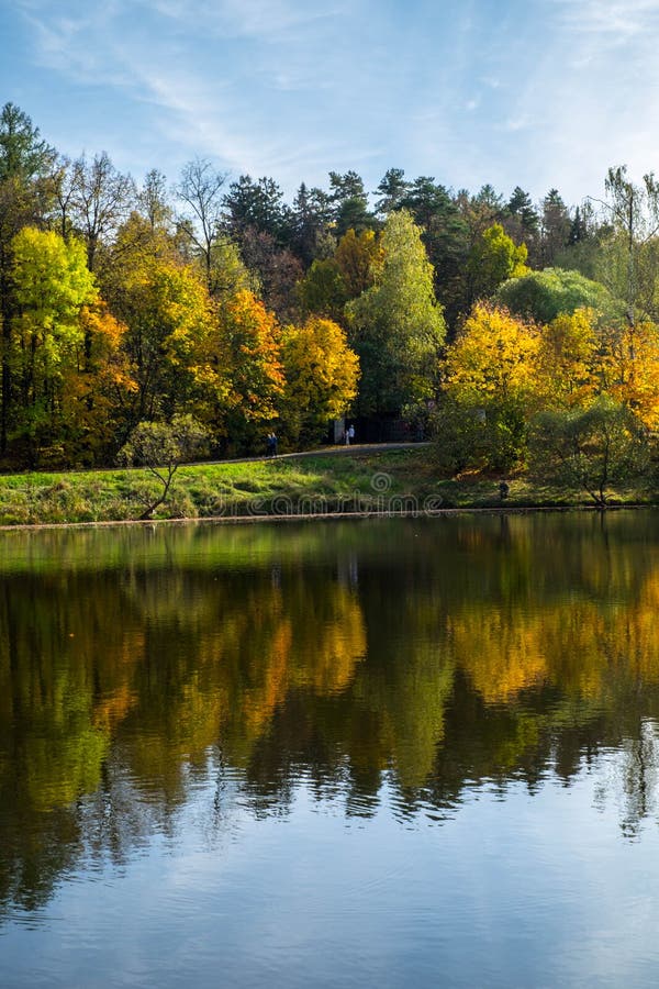 Reflection water fall stock image. Image of tree, landscape - 202784351