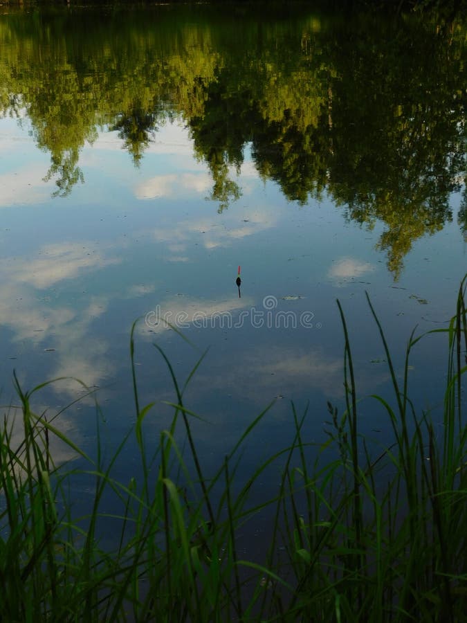 The Reflection in the Water. Stock Photo - Image of field, nature: 55525494