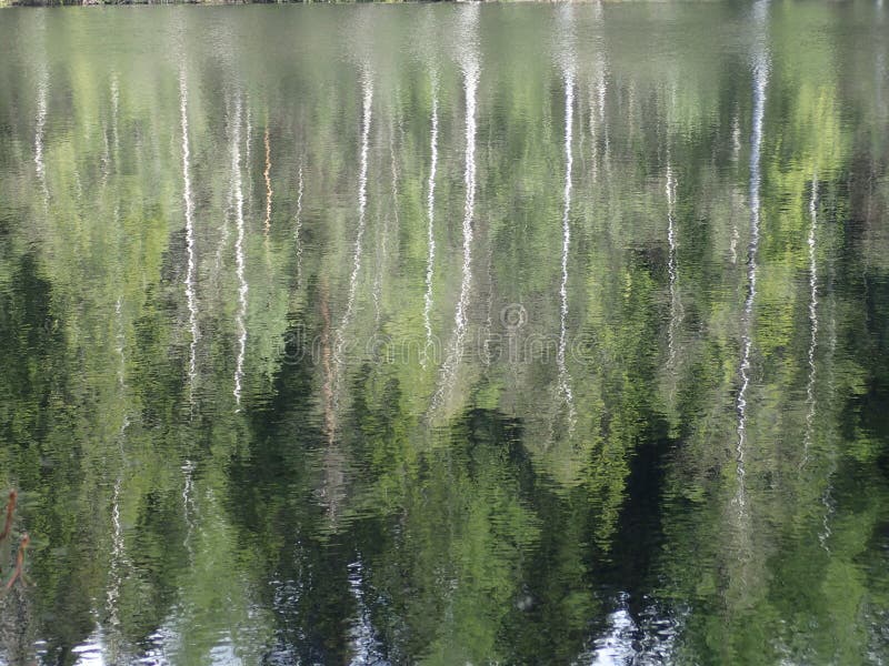 Reflection, Water, Green, Nature Picture. Image: 113061336