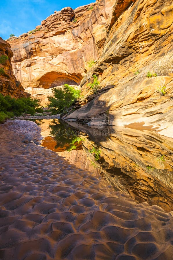 Reflection in the Water Hunter Canyon Hiking Trail Moab Utah Stock ...
