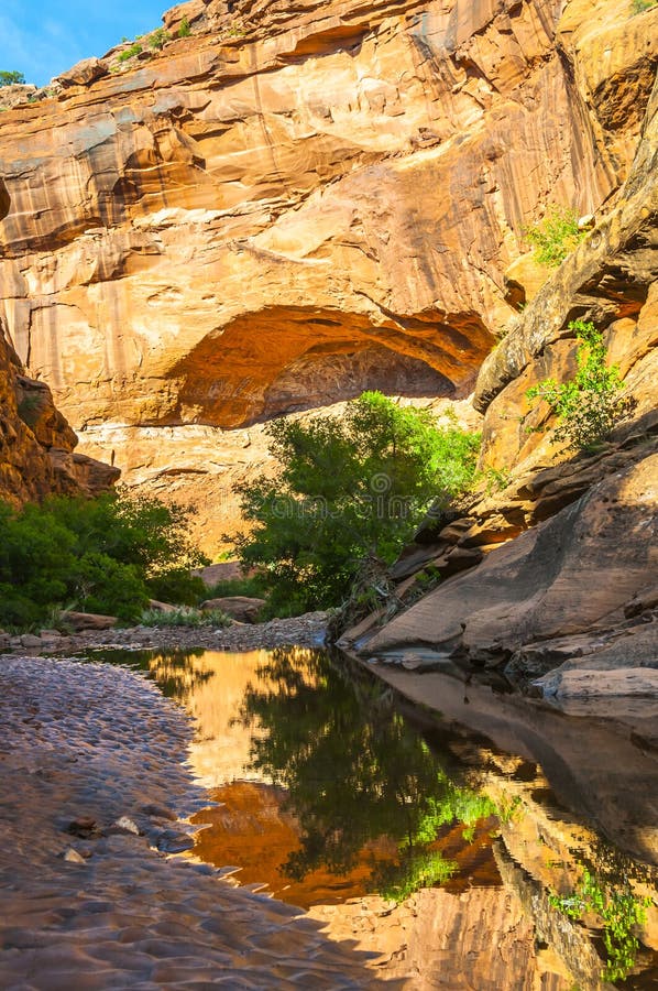 Reflection in the Water Hunter Canyon Hiking Trail Moab Utah Stock ...