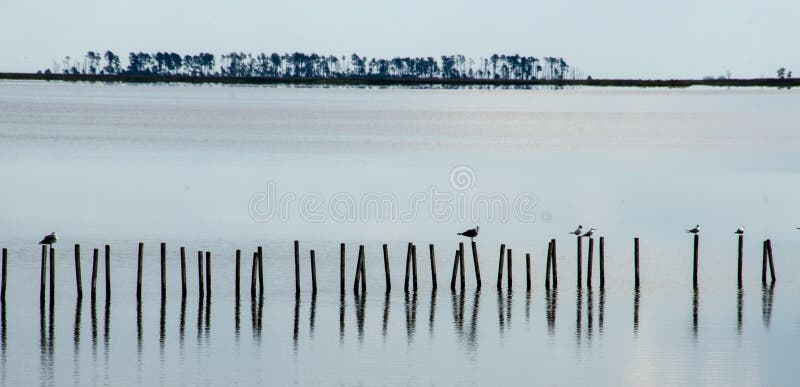 Reflection in the water stock image. Image of marsh - 102523283