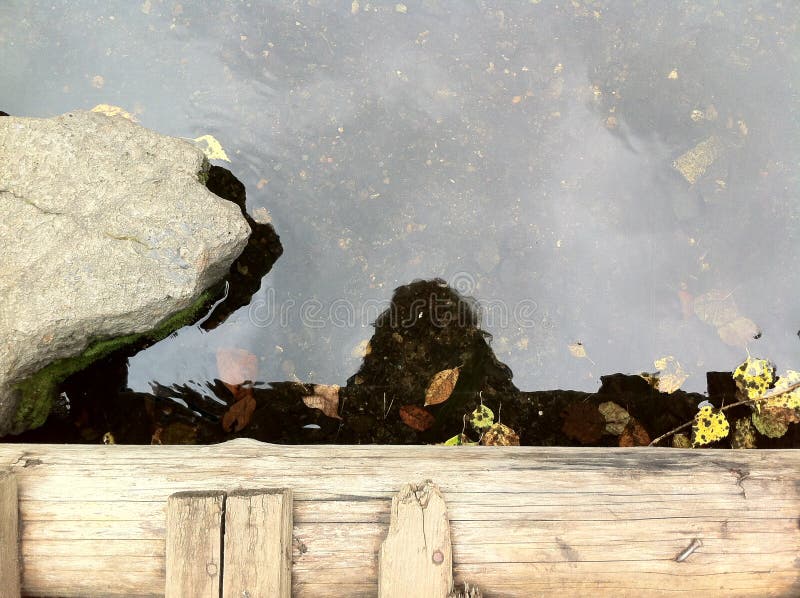 Reflection in the Water. Looking Down from a Bridge Stock Image - Image ...