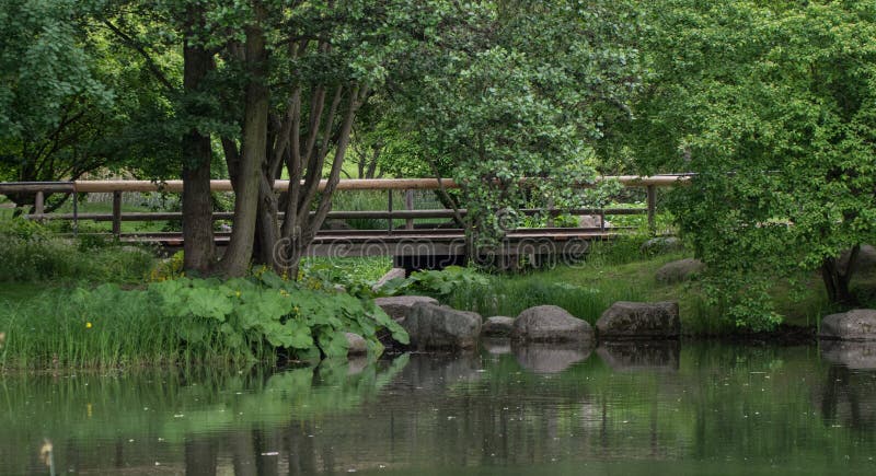 Reflection, Water, Nature, Nature Reserve Stock Image - Image of bayou ...